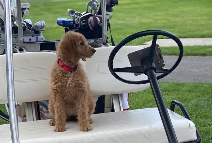 River Ridge Restaurant and Golf Course - Selah , WA